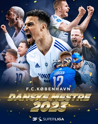 Danish football league store